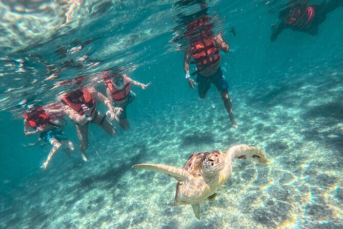 Tulum Ruins, Sea Turtles & Cenote Snorkeling Adventure Tour - What Makes This Tour Stand Out