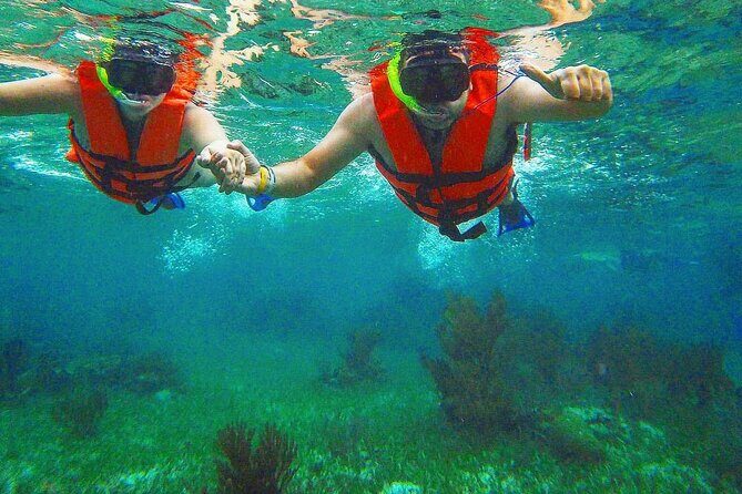 Tulum Ruins Snorkel with Sea Turtle and Cenotes Private Tour - Exploring the Itinerary in Detail