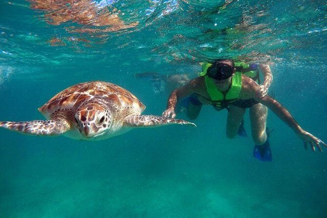 Tulum ruins swim with turtles in Akumal and Cenote - Practical Aspects and Value