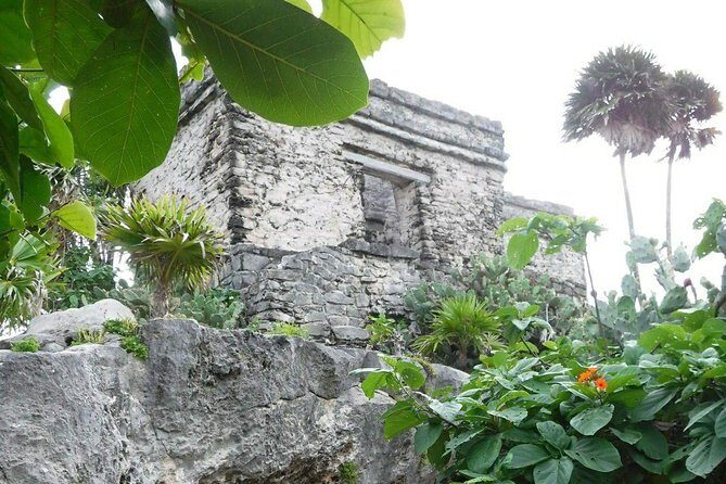 Tulum Ruins Tour (Private, Half Day) - Potential Drawbacks or Considerations