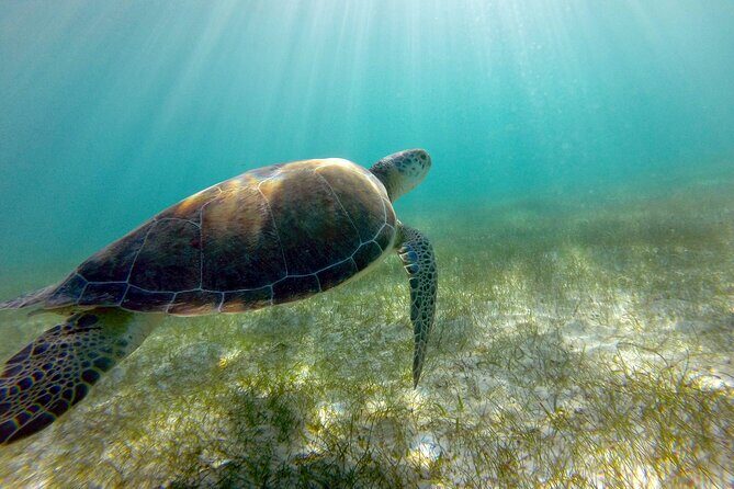 Tulum Ruins, Turtle Sighting and Underground Caves - Final Thoughts