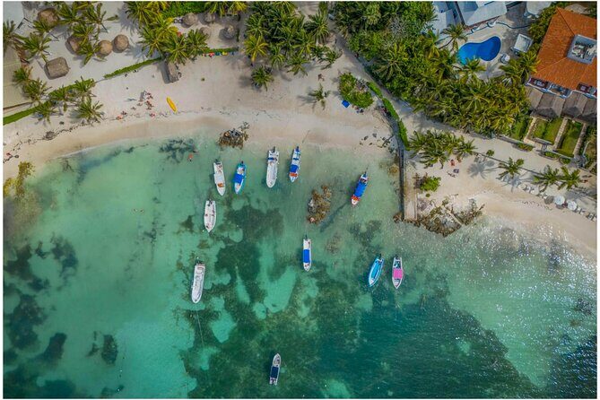 Tulum Ruins, Turtles in Akumal and Cenote tour - Why this tour is appealing