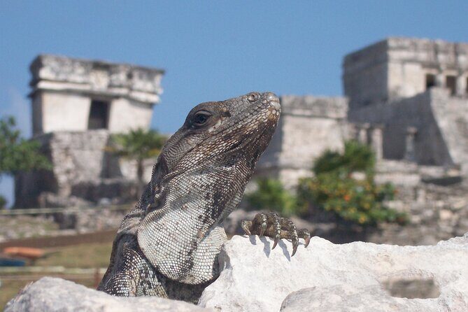Tulum Ruins with ATV Singles and Underground Cave from Tulum - Final Thoughts