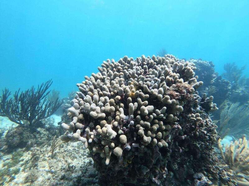 Tulum: Sailing tour - FAQ