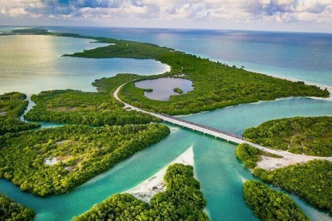 Tulum Sian Kaan Adventure : Dolphins, Turtles & Punta Allen - A Deep Dive into the Tulum Sian Kaan Adventure: Dolphins, Turtles & Punta Allen