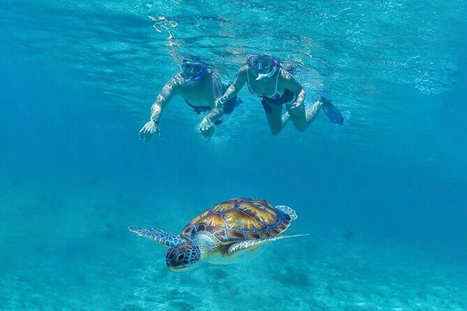 Tulum, Snorkeling with Sea Turtles, Cenote and Beachside Lunch - Breaking Down the Itinerary