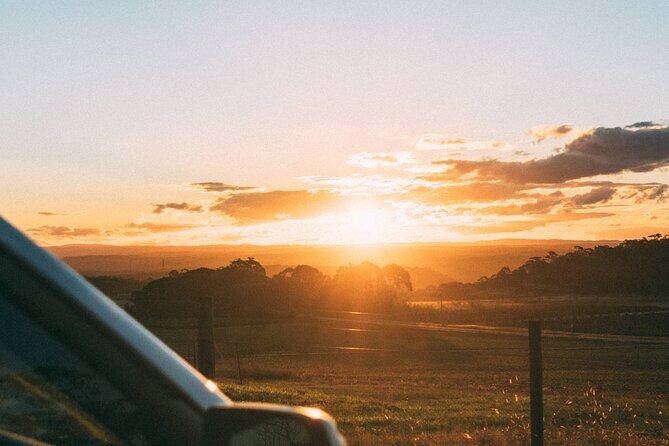 Tulum to Playa del Carmen - Private Transfer with Optional Sightseeing - Deep Dive: What to Expect on This Journey