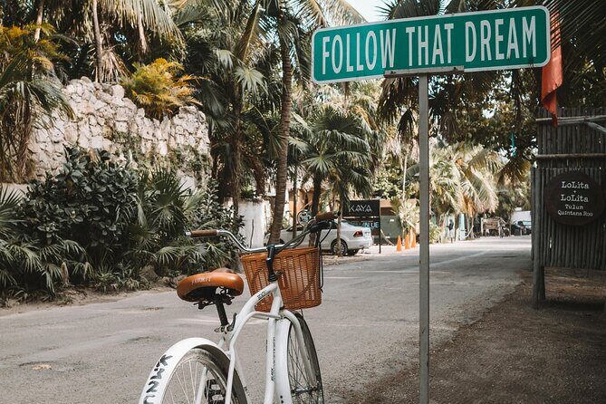 Tulum Transportation Service 24/7 The Most Reliable and safe. - Real User Insights