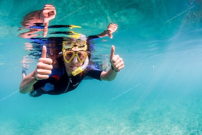 Tulum VIP Private Tour with Sea Turtles & Cenote  Award-Winning - What Travelers Say