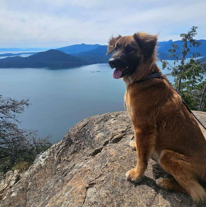 Tunnel Bluffs Hiking Day Trip- Vancouver - The Transportation and Group Experience