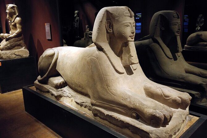 Turin: Egyptian Museum & city tour guided experience - The Museum Experience: Museo Egizio