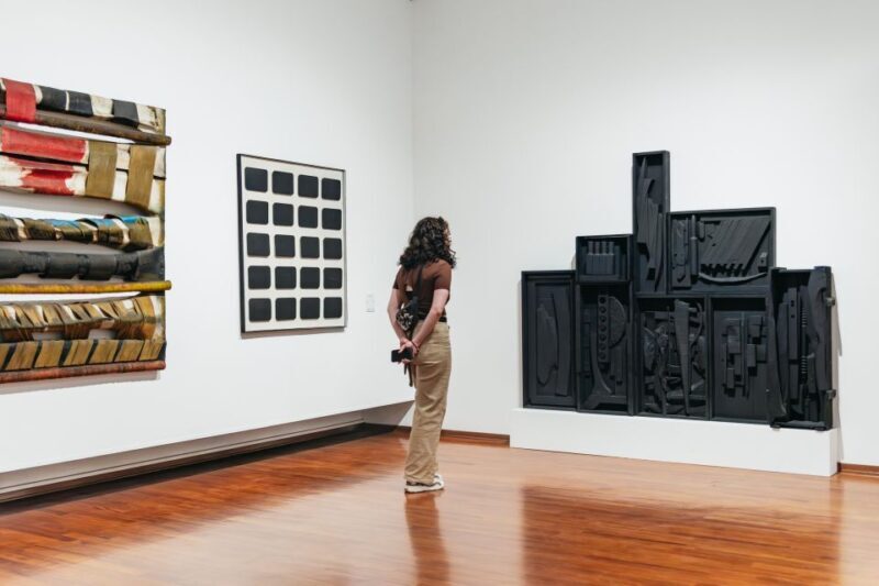 Turin: Gallery of Modern and Contemporary Art Entry Ticket - Who Should Consider This Experience?