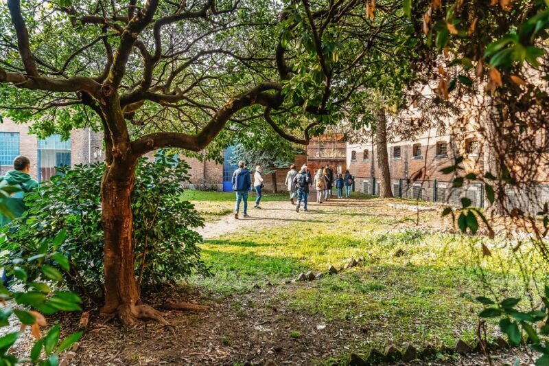 Turin: Underground Tunnels Guided Tour - Why You Should Consider This Tour