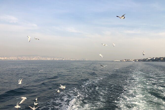 Turkish Odyssey: Exploring the Classics for 8 Days - Why This Tour Offers Great Value