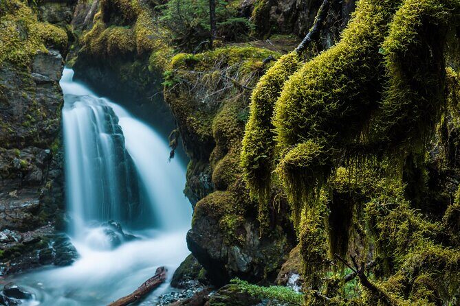 Turnagain Arm Highlights Photo Tour - Exploring the Turnagain Arm Highlights Photo Tour: An Authentic Alaskan Experience