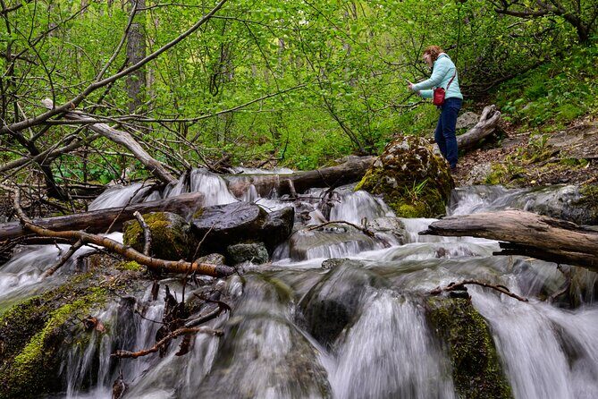 Turnagain Arm Highlights Photo Tour - Key Points