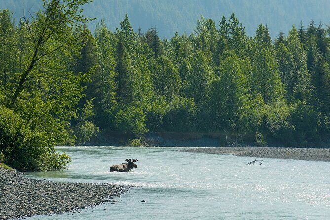 Turnagain Arm Highlights Photo Tour - The Sum Up