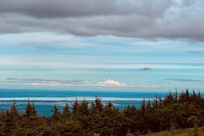 Turnagain Arm Sightseeing Experience and Wildlife Tour - Who Should Consider This Tour?