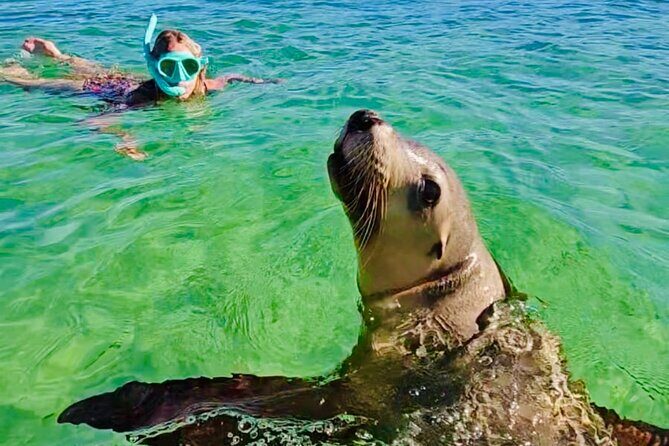 Turquoise Coast and Pinnacles Desert Private day Tour from Perth - Key Points