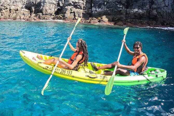 Turtle and Dolphin Watching Kayaking and Snorkeling Tour - What Reviewers Love Most