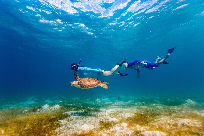 Turtle Canyon Snorkel Adventure - Small Group 6 Passengers - What Is the Turtle Canyon Snorkel Adventure?