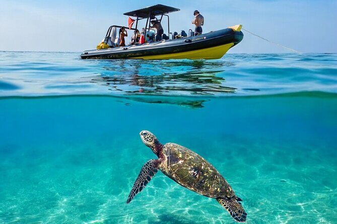 Turtle Canyon Snorkel Adventure - Small Group 6 Passengers - The Experience & Why It Matters