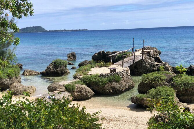 Turtle Encounter with Yumi Tours - The Sum Up