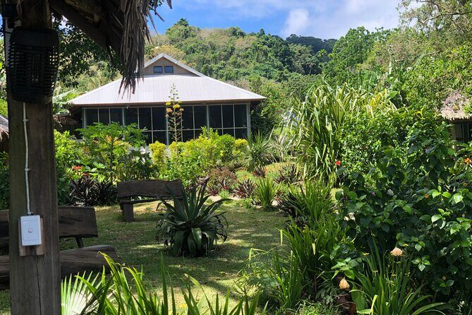 Turtle Encounter with Yumi Tours - FAQ