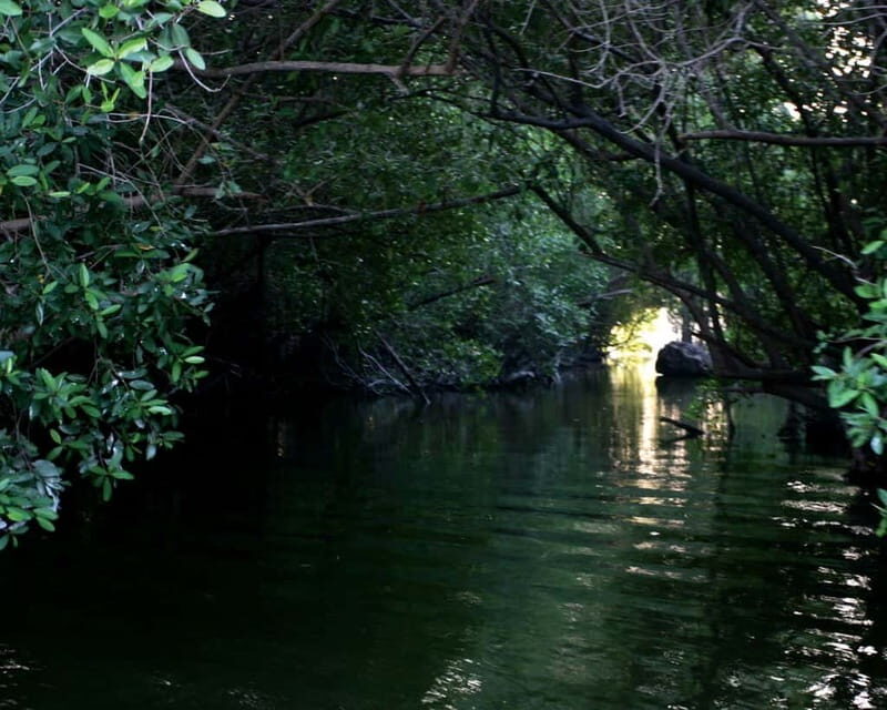 *Turtle Hatching + 3 Palos Lagoon Boat Ride & Crocs Farm - Starting Off: From Hotel to Coastal Beauty