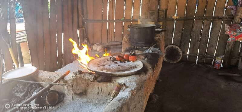 *Turtle Hatching + 3 Palos Lagoon Boat Ride & Crocs Farm - An Ecological Sanctuary