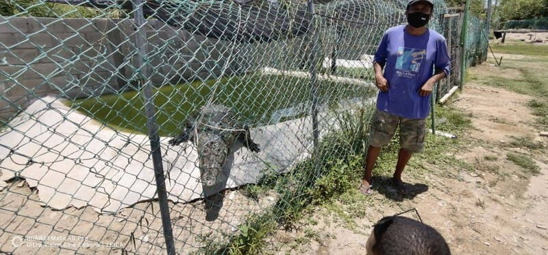 *Turtle Hatching + 3 Palos Lagoon Boat Ride & Crocs Farm - Lunch with a View