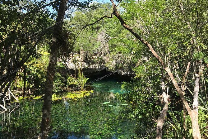 Turtle Snorkeling Private Tour  Sea Turtles & Cenote in Tulum - Who Will Love This Tour?
