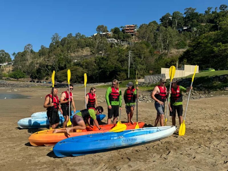 Turtle spotting-Double kayak hire Shingley beach - Key Points