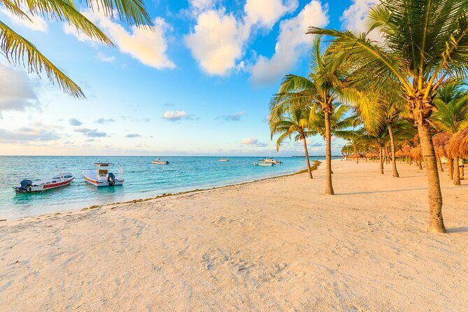 Turtle Swim, Lunch and Underground Cenote Private Tour - In-Depth Look at the Tour Experience