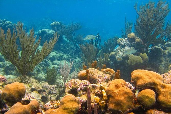 Turtles and Cenote from Riviera Maya - Final Thoughts