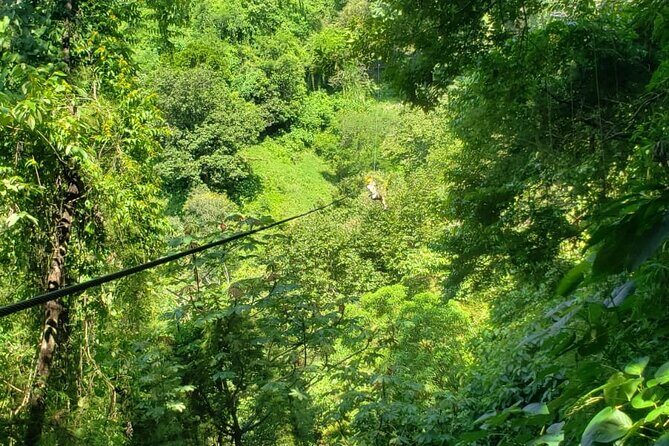 Turtles Release Adventure - Who Should Consider This Tour?