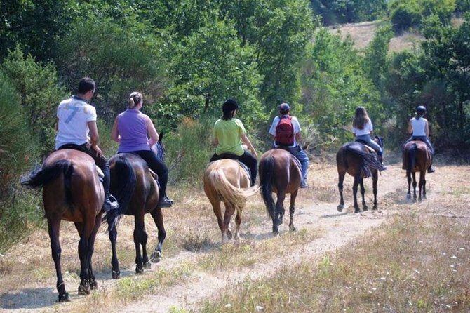 Tuscan Chianti Hills Horseback Riding Tour - What Travelers Say About the Guides