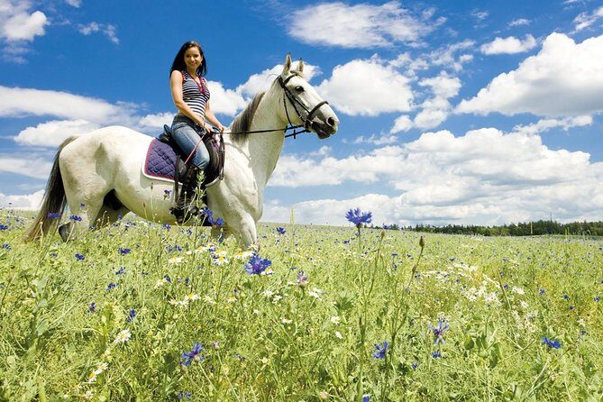 Tuscan Chianti Hills Horseback Riding Tour - Who Should Book This Tour?