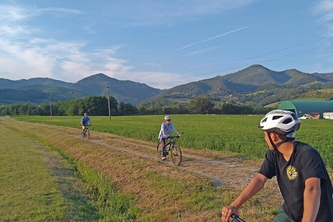 Tuscan countryside bike tour and food tasting - An In-Depth Look at the Tuscan Countryside Bike Tour