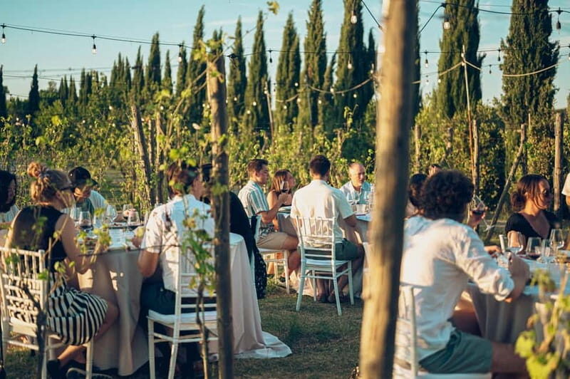 Tuscan Vineyard Dinner with Wine Tasting - What Makes This Experience Special