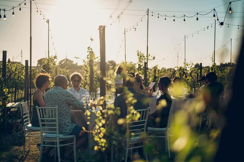 Tuscan Vineyard Dinner with Wine Tasting - The Value of the Experience