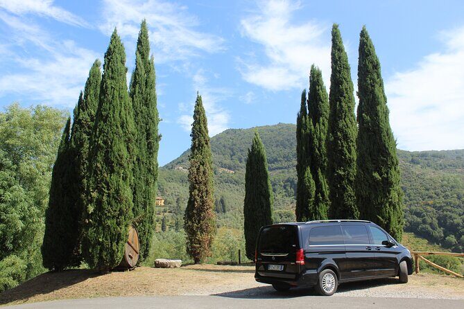 Tuscan Wine Tour in Lucca by van - Key Points