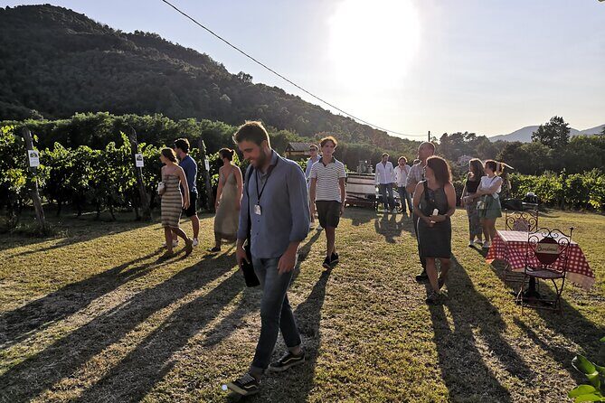 Tuscan Wine Tour in Lucca by van - Final Thoughts: Is It Worth It?