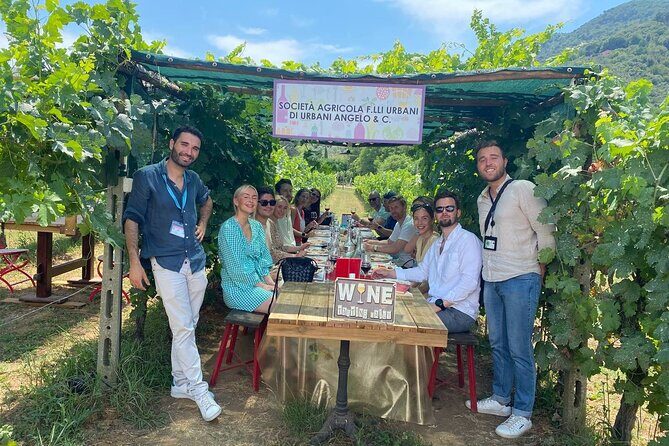 Tuscan Wine Tour in Pisa by van - Why This Tour Is a Great Fit