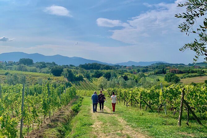 Tuscany and Wine Tasting Private Tour from Livorno - Who This Tour Is Best For