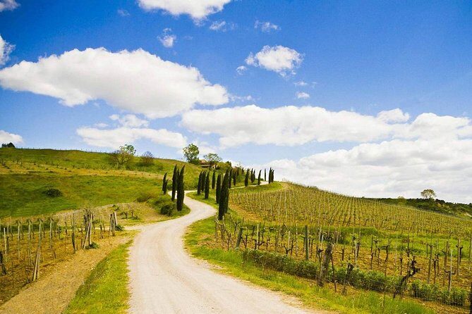 Tuscany by Bike from Florence - What We Love  