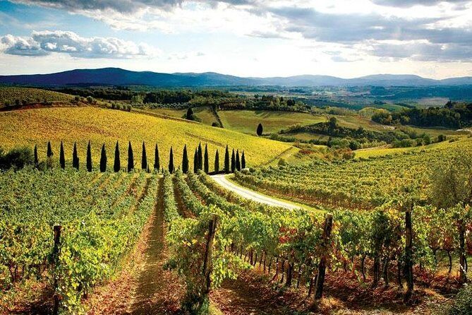 Tuscany by Bike from Florence - Scenic Cycling and the Vineyards  