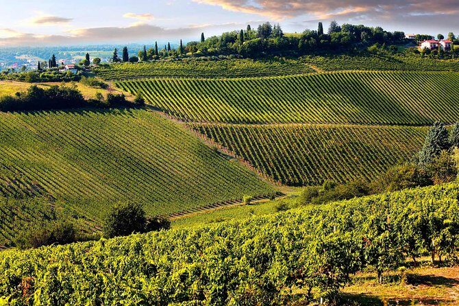 Tuscany countryside from Livorno: Private Volterra, San Gimignano & Wine Tasting - Exploring the Tuscan Countryside: A Closer Look