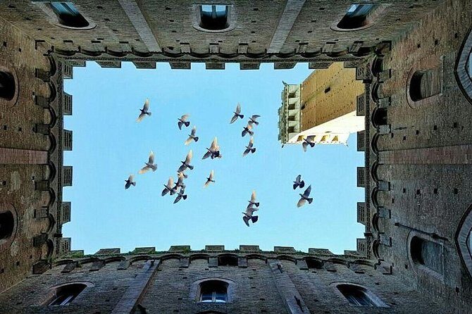 Tuscany Countryside including Wine Tasting & Lunch - Private Day Trip from Rome - Exploring Tuscany from Rome: A Detailed Look at the Private Day Trip