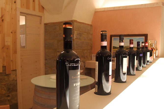 Tuscany Hiking Tour from Siena Including Wine Tasting - An In-Depth Look at the Tour Experience